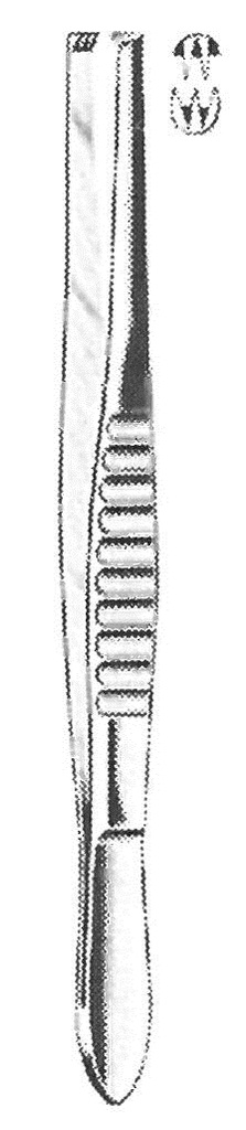 Tissue forceps, 2 x 3 teeth, 25 cm long | DIFRA-World